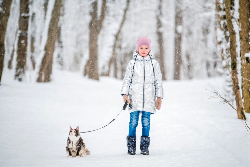 Leash Training a Maine Coon: Tips and Tricks for Walking Your Cat